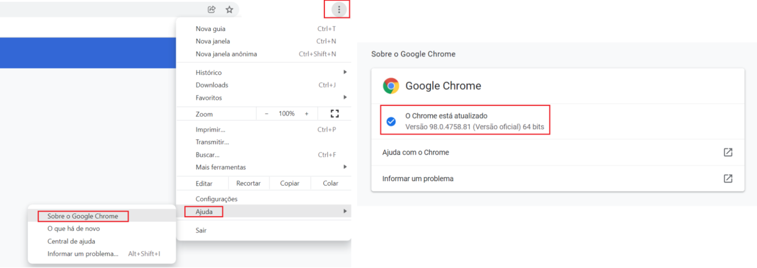 Instalando chromedriver no PATH do windows - LuizDeAguiar