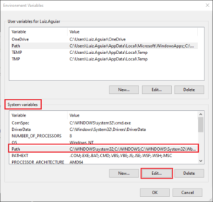 Instalando chromedriver no PATH do windows - LuizDeAguiar