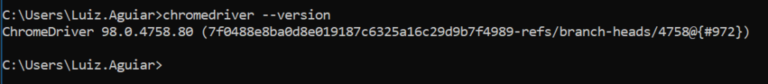 Instalando chromedriver no PATH do windows - LuizDeAguiar